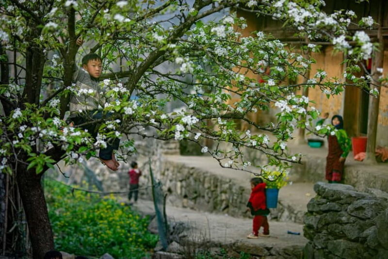 Ha Giang 4-Day Motorbike Loop: Villages, Passes, Hidden Gems - Returning and Reflecting: End of the Loop
