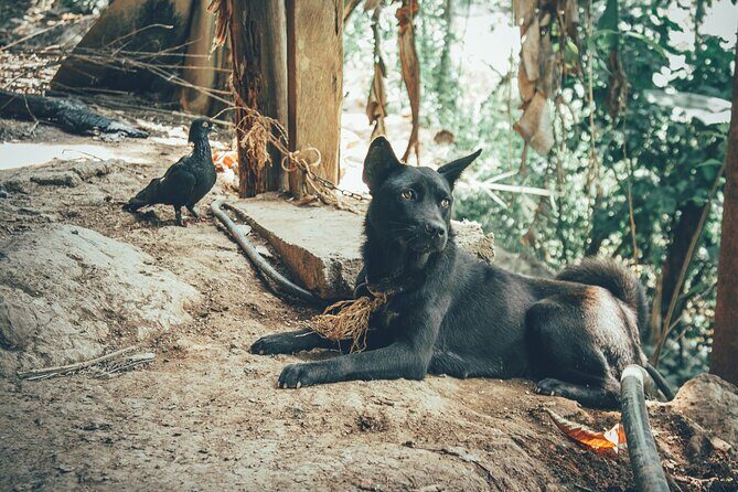 Ha Giang 5 Days 4 Nights Private Tour - Frequently Asked Questions