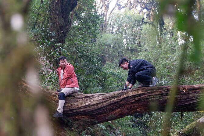 Ha Giang Bikki's Jungle homestay - Final Thoughts: Who Is This Tour For?