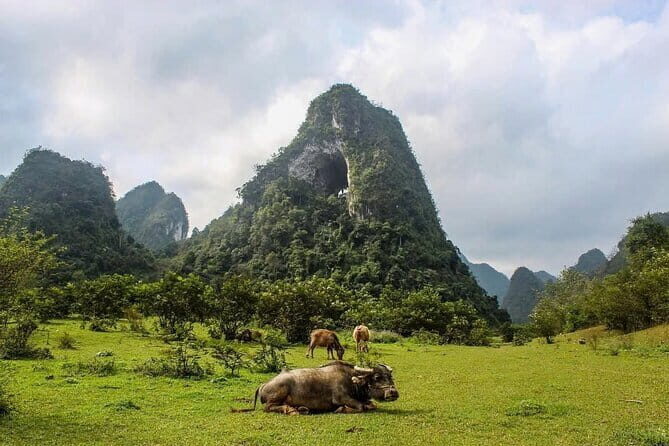 Ha Giang Cao Bang Loop 5 Days Private Tour with English Guide - Key Points