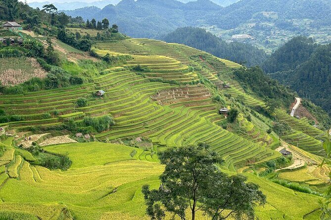 Ha Giang Comfort Car Ride 4D3N - Transportation and Guide Experience