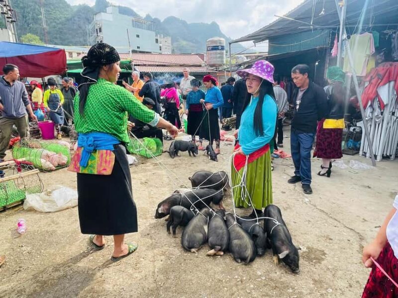 Ha Giang: Dong Van Market Fair Tour with Guide - Why Choose This Tour?