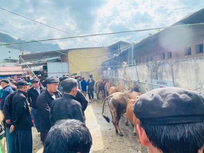 Ha Giang: Dong Van Market Fair Tour with Guide - What to Expect and Practical Tips