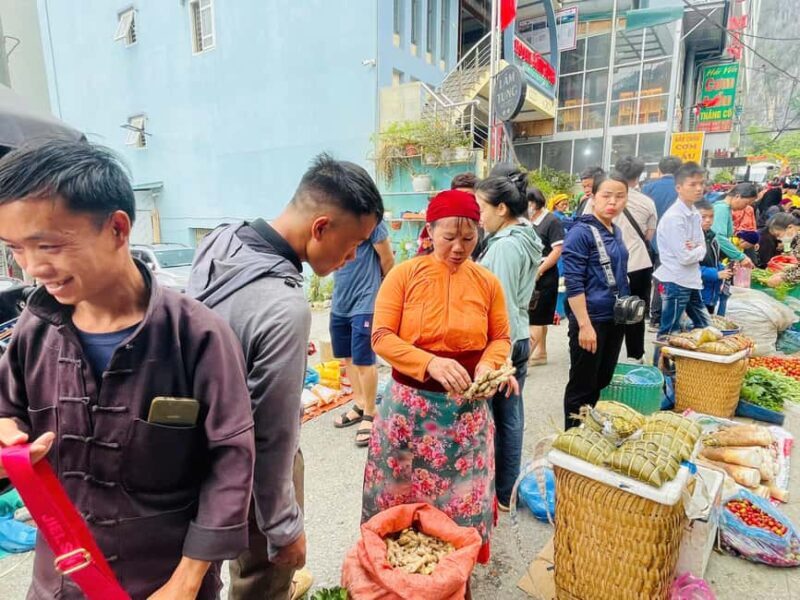 Ha Giang: Dong Van Market Fair Tour with Guide - Who Will Love This Tour?