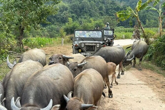 Ha Giang Jeep Tours: 3 Day 4WD + Hiking + Cruising Adventures - Transport and Logistics: Practical Implications