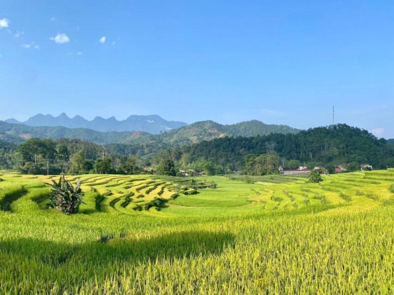 Ha Giang Loop: Easy Rider Motorbike Tour in 3D3N - The Sum Up: Is This Tour Worth It?