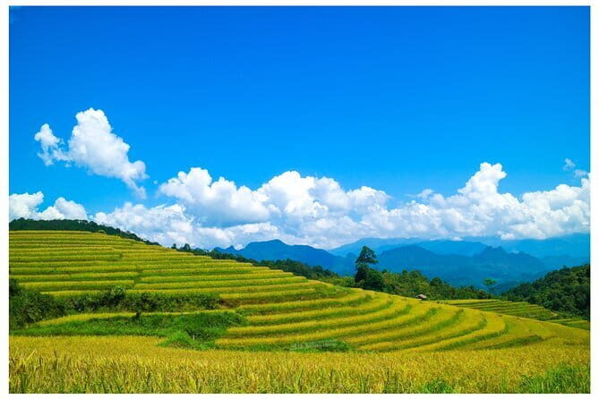 Ha Giang Loop Full Day Tour - FAQ