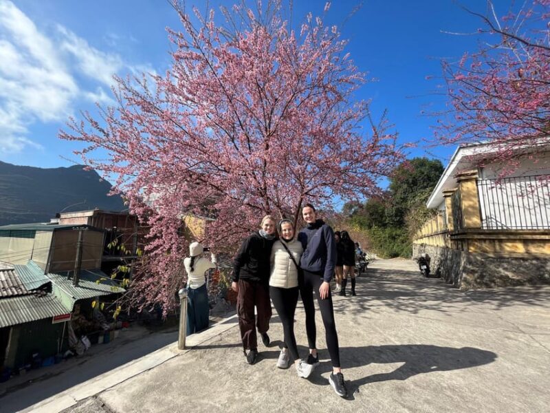 Ha Giang Loop Tour 4 Days Self-Driving ( From Hanoi or Sapa) - Detailed Itinerary Breakdown