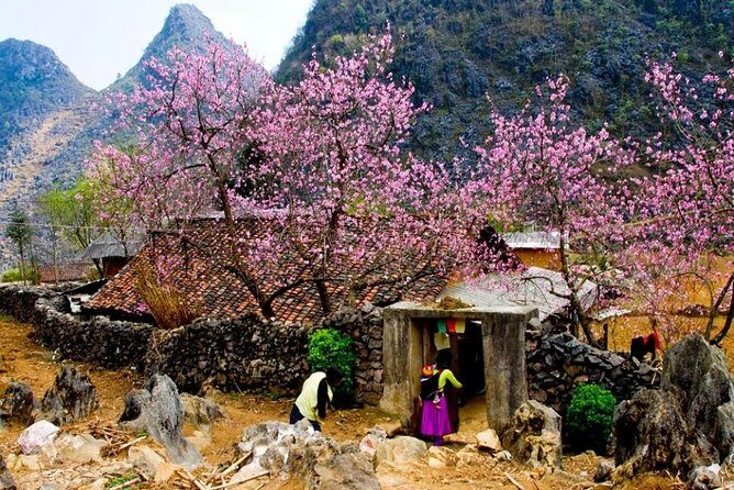Ha Giang - Quan Ba- Yen Minh- Ma Pi Leng- Dong Van 3 days 2 nights - Transportation, Accommodation, and Value