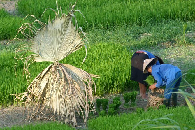 Ha Giang Trekker 2D2N - The Value of the Ha Giang Trekker 2D2N Tour