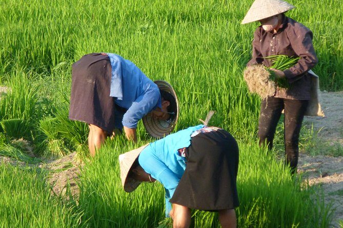 Ha Giang Trekker 2D2N - FAQs about the Ha Giang Trekker 2D2N Tour