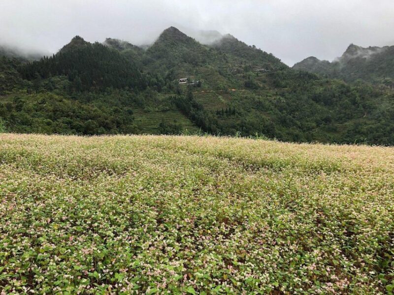 Ha Giang Trekker in 3D3N - FAQ