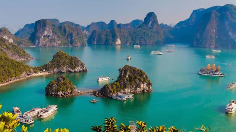 Ha Long 1 Day Luxury Small Group & Kayaking - The Experience From Traveler Feedback