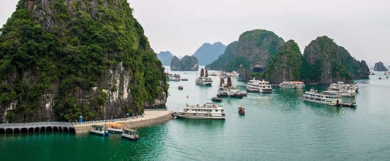 Ha Long Bay Cruise - Swimming, Meal, Kayaking In 1 Day - A Deep Dive into the Day Trip Experience