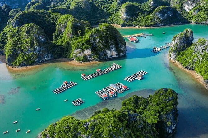 Ha Long Bay Day Cruise: Caves, Lunch & Kayaking from Hanoi - Key Points