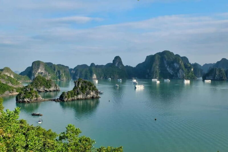Ha Long Bay Day Cruise: Surprising Cave and Titov Island - FAQ - Your Practical Questions Answered
