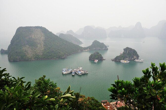 Ha Long Bay Day Tour with Lunch, Cave Explore & Titop Island - The Sum Up