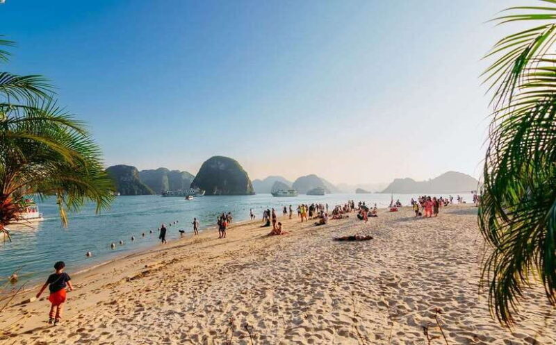 Ha Long Bay Day Trip with Best Price - Who Should Book This Tour?