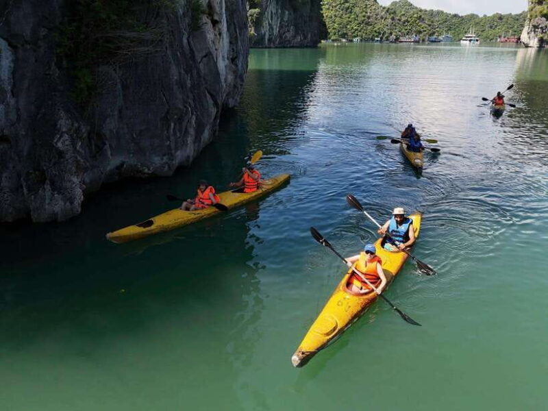 Ha Long Bay & Lan Ha Bay Day Tour on 5 Star Premium Cruise - Why Choose This Tour?