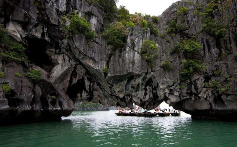 Ha Long Bay Small Deluxe Cruise Day Trip With Kayak & Lunch - What Makes This Tour Stand Out?
