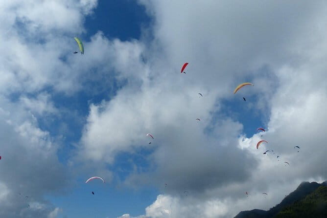 Ha Long Sky Tour: Powered Paragliding - Who Will Love This Tour?