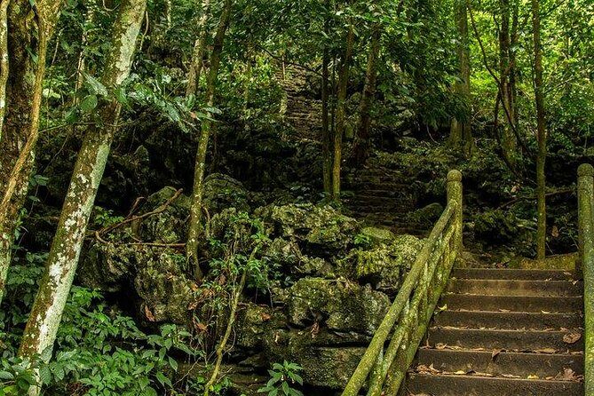 Ha Noi: Full-day Cuc Phuong National Park Eco-adventure - An Introduction to the Cuc Phuong Adventure