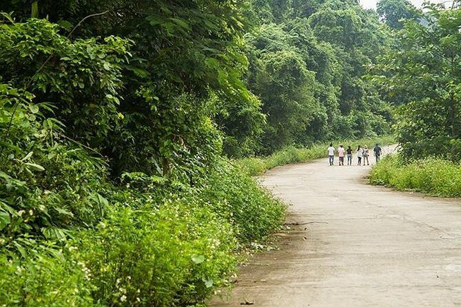 Ha Noi: Full-day Cuc Phuong National Park Eco-adventure - Who Should Consider This Tour?