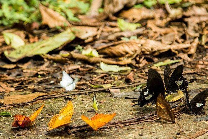 Ha Noi: Full-day Cuc Phuong National Park Eco-adventure - FAQs