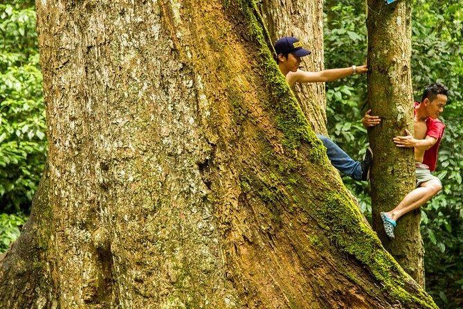 Ha Noi: Full-day Cuc Phuong National Park Eco-adventure - References