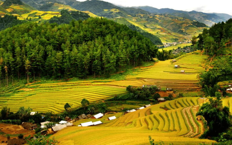 Ha Noi - Mai Chau - Pu Luong 2 Days 1 Night Trekking Tour - Who Would Enjoy This Tour Most?