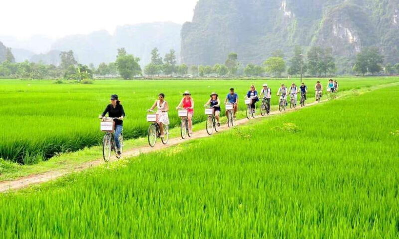 Ha noi: Ninh Binh- Halong on land: Hoa Lu, Tam Coc, Mua Cave - Comprehensive Review of the Ninh Binh Day Trip