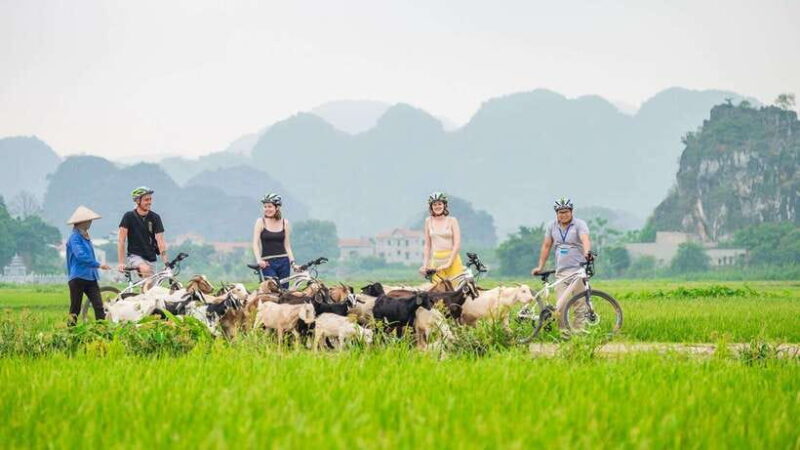 Ha noi: Ninh Binh- Halong on land: Hoa Lu, Tam Coc, Mua Cave - Who Will Appreciate This Tour?
