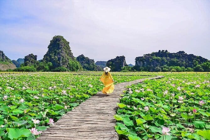 Ha Noi - Ninh Binh (Hoa Lu - Trang An - Mua Cave) - Final Thoughts