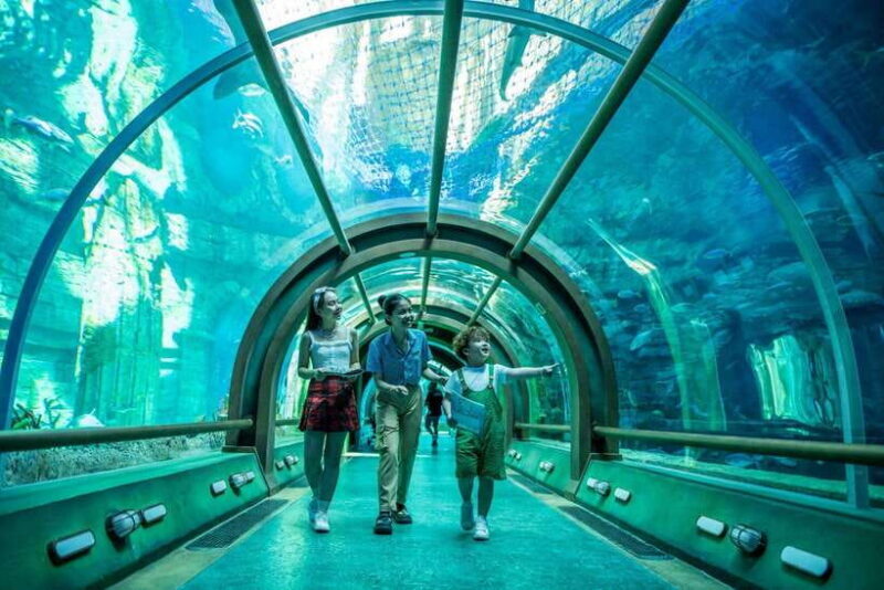 Ha Noi: VinKE and Vinpearl Aquarium Entry Ticket - Key Points