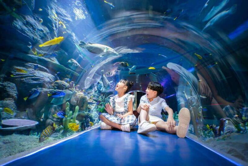 Ha Noi: VinKE and Vinpearl Aquarium Entry Ticket - The Marvel of Vinpearl Aquarium