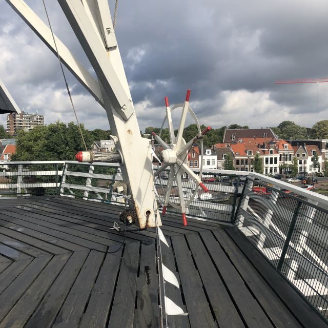 Haarlem: Windmill 'De Adriaan' Guided Tour - FAQ