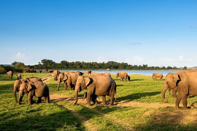 Habarana Adventure Day Tour From Kandy - Who Will Love This Tour?