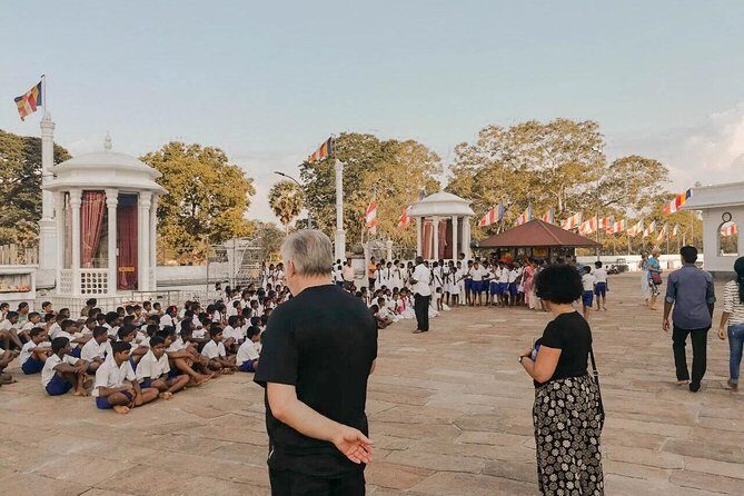 Habarana City to Colombo (CMB) Airport Private Transfer - Real Traveler Feedback (Based on reviews)