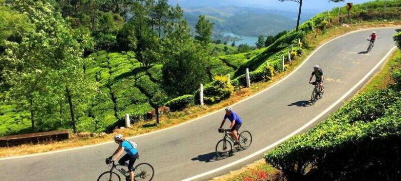 Habarana: Countryside Cycling Tour From Sigiriya, Dambulla - Key Points
