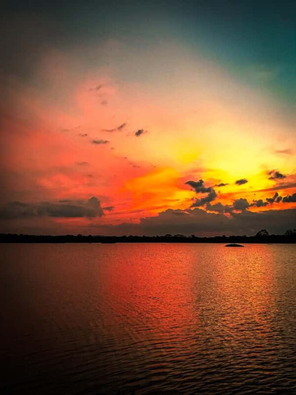 Habarana: Hiriwadunna Village Tour with Lunch - Key Points