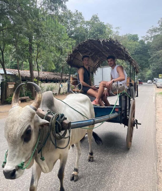 Habarana: Pure Village Life and Cultural Experience Day Tour - Key Points