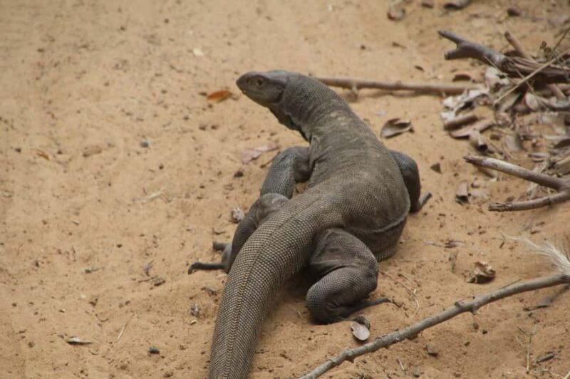 Habarana: Pure Village Life and Cultural Experience Day Tour - Practical Tips