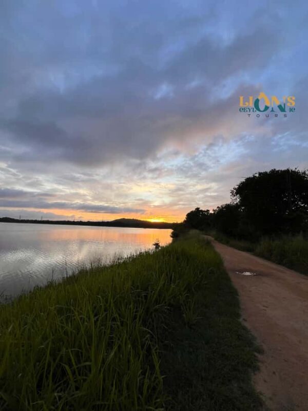 Habarana & Sigiriya: Night Safari to see nocturnal wildlife - Key Points