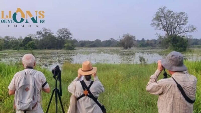 Habarana & Sigiriya: Night Safari to see nocturnal wildlife - Value and Practicalities