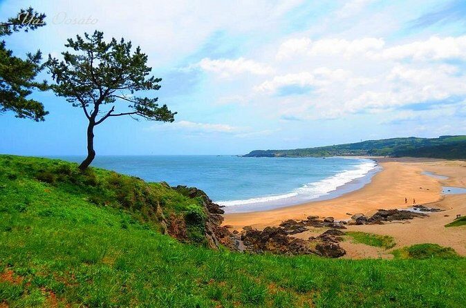 Hachinohe Half-Day Private Trip with Government-Licensed Guide - The Sum Up: Who Will Love This Tour?