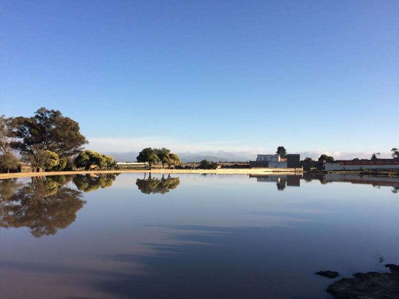 Hacienda Tochatlaco: historical visit, inside the main house - Deep Dive into the Experience