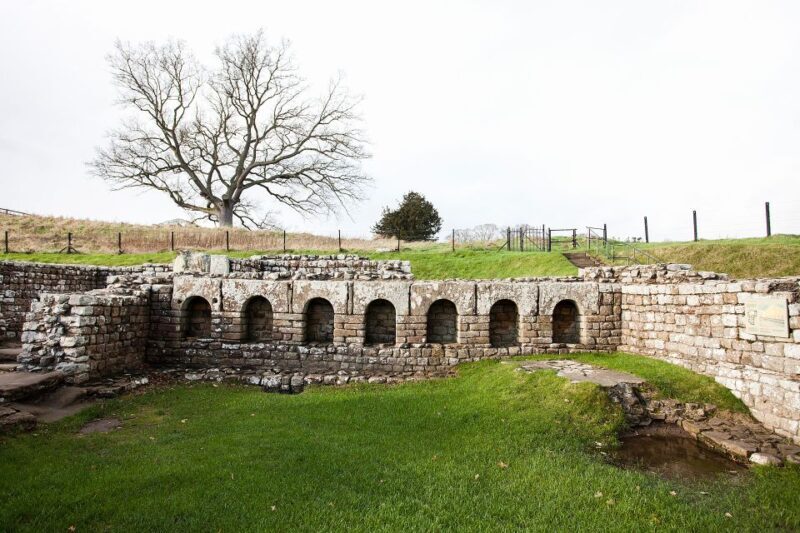 Hadrian's Wall: Chesters Roman Fort and Museum Entry Ticket - The Sum Up: Who Will Appreciate Chesters Roman Fort?