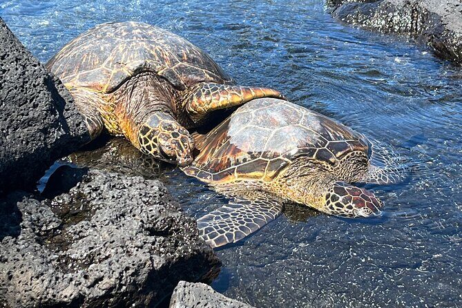 Haena Hike and Swim with Native Hawaiian - FAQs