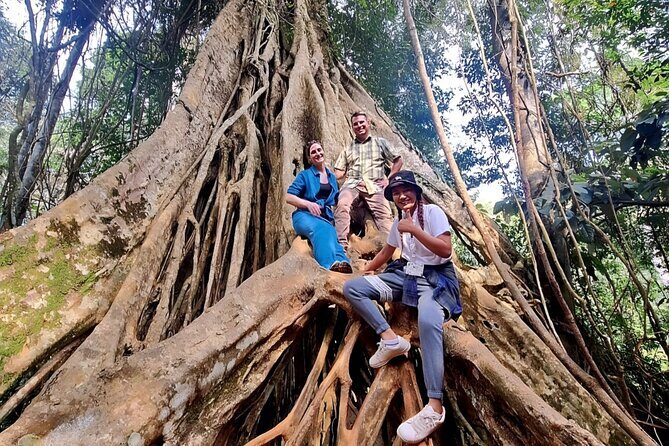 Haew Suwat Waterfall-Jungle Hiking to KM 33 Nong Pak Chi - Authentic Moments and Practical Insights