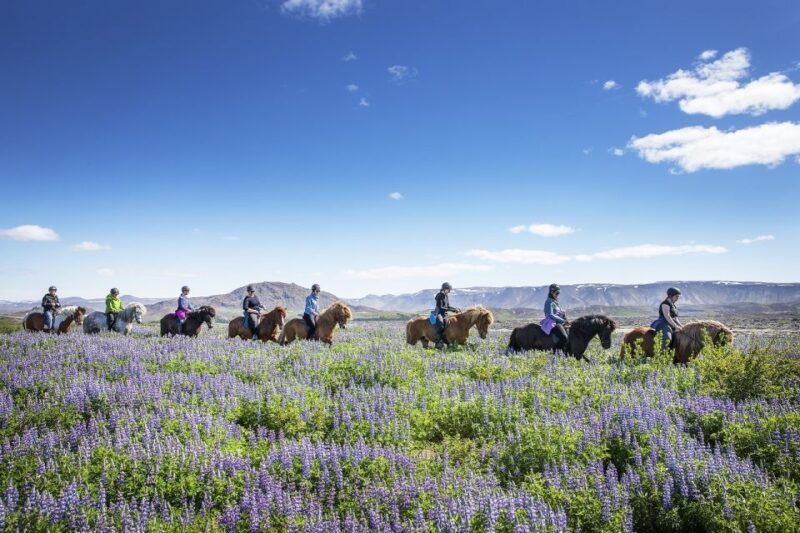 Hafnarfjörður: Horseback Riding Tour in Reykjavik Area - Exploring Iceland on Horseback: An Authentic Encounter